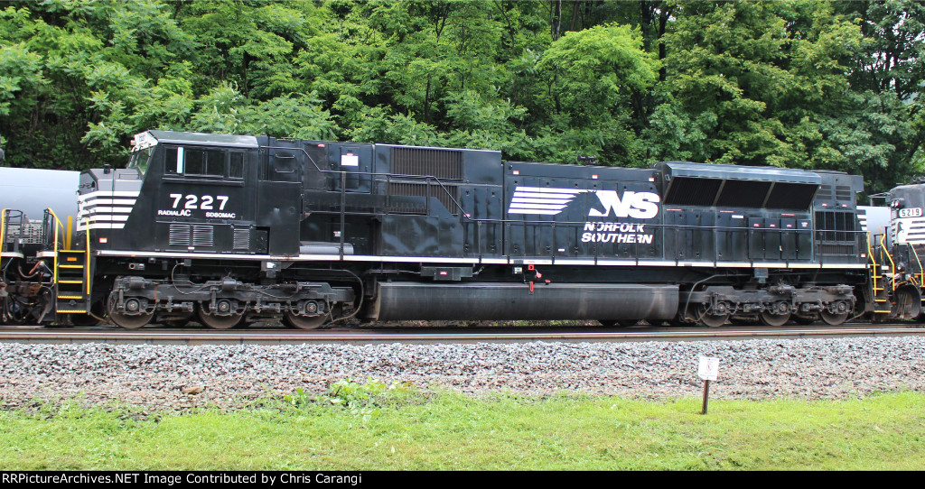 NS 7227 on C91